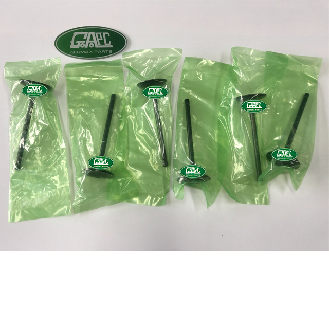 Intake Inlet Valve LR010699 AJ812315 - Land Rover & Jaguar Parts ...